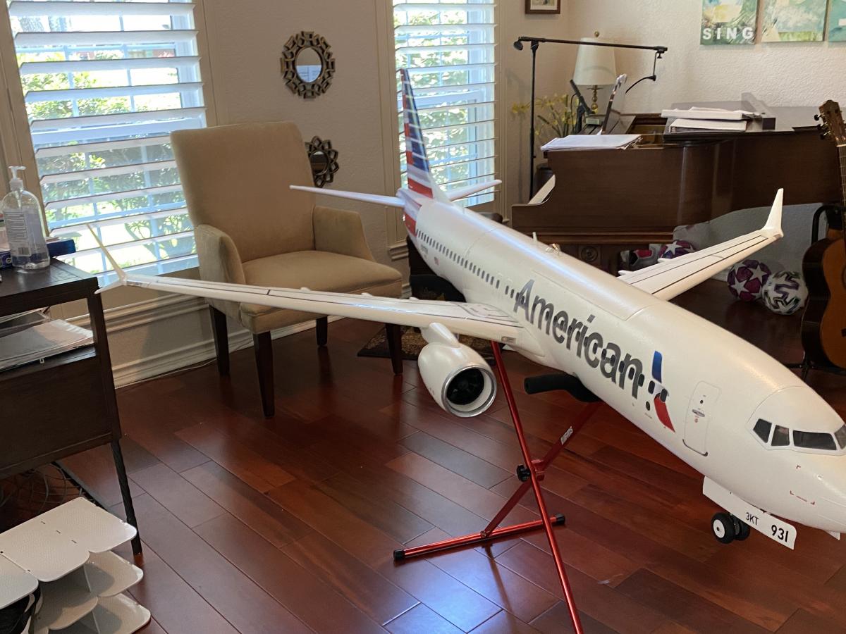 Custom Freewing AL37 Airliner Livery Pictures! - Hobby Squawk RC Forum ...